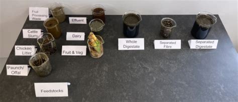 Testing And Analysis Greenville