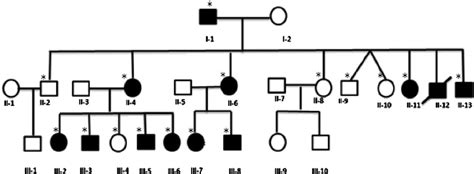 Pedigree Of The Family With GCPS Individuals For Whom Samples Were Download Scientific Diagram