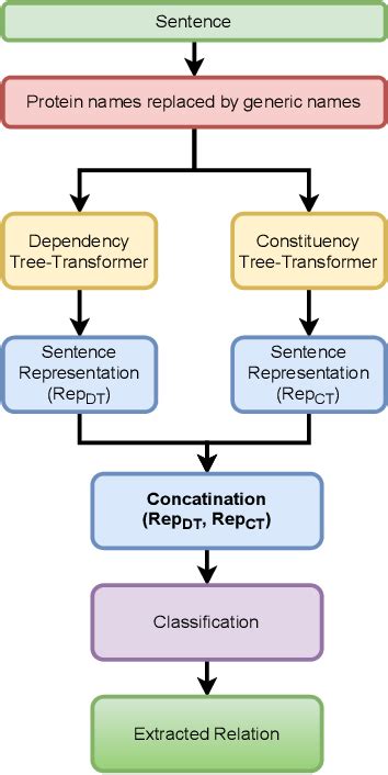 Figure 1 From Protein Protein Interaction Extraction Using Attention Based Tree Structured