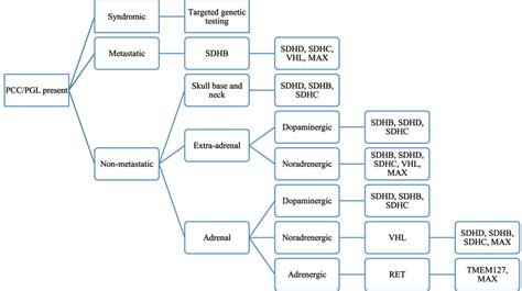 proposed algorithm for genetic testing of patients with download