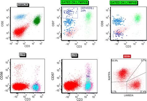 Flow Cytometric Analysis Of Representative Tissue From The Nasal Download Scientific Diagram