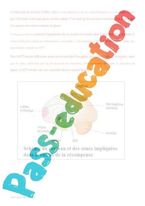 Bases biologiques du plaisir Sexualité Première Exercices corrigés PDF à imprimer par