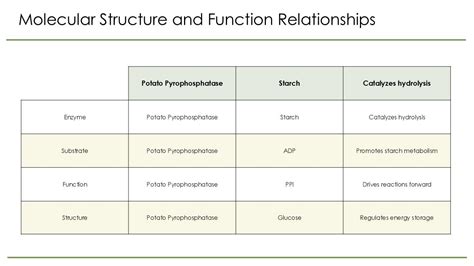 Potato Pyrophosphatase Enzyme Starch Metabolism Ppt Presentation St Ai Ppt Presentation