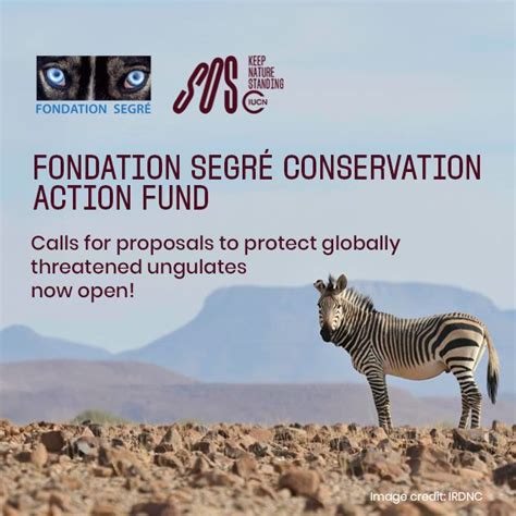 Vandana Mathrani Msed Posted On Linkedin