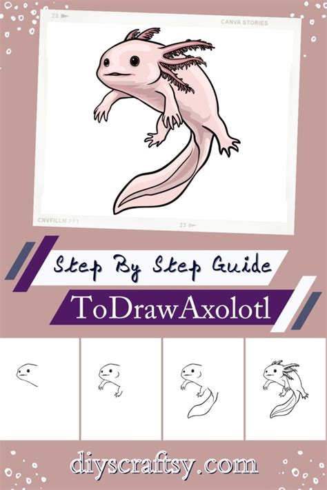 12 Axolotl Drawing Ideas Step By Step Guide DIYsCraftsy