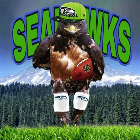 Super Seahawks Memes Added A New Photo Super Seahawks Memes
