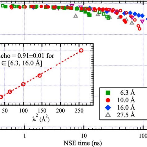 Measured NSE Signal At Different Incoming Neutron Wavelengths For A Download Scientific Diagram
