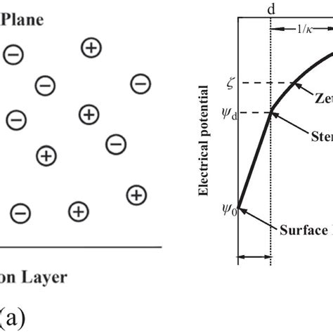 Stern Gouy Electrical Double Layer A Electrical Charge Distribution Download Scientific