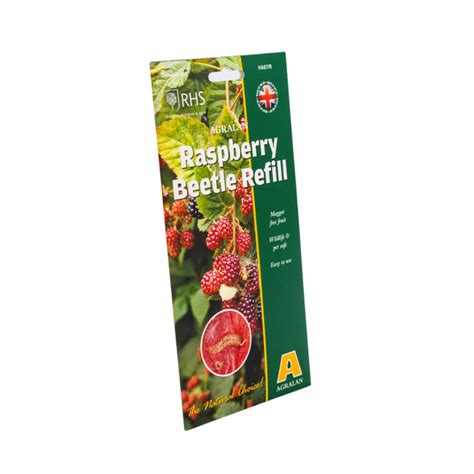 Raspberry Beetle Refill Agralan Ltd