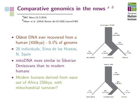 Comparative Genomics And Visualisation Bs32010