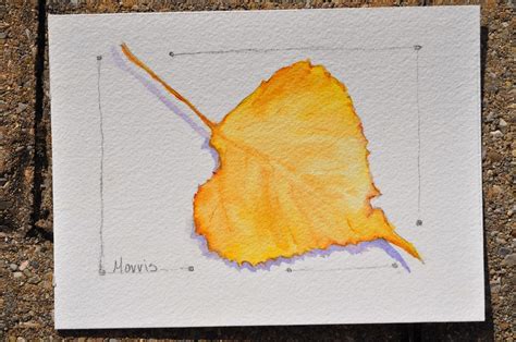 Living A Creative Life The Leaf Metaphor Wont Leaf Me Alone