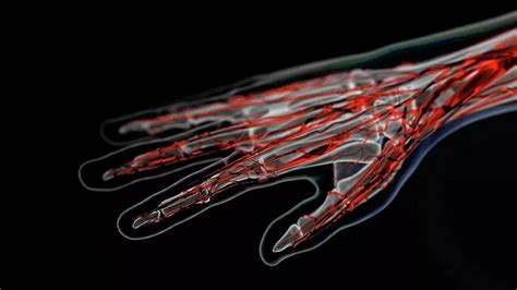 Russian Scientists Develop Improved Algorithm For Better Vein Visibility Trending Online