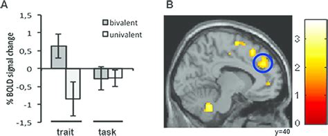 Brain Activation In Anterior Paracingulate Cortex When Seeing Rule