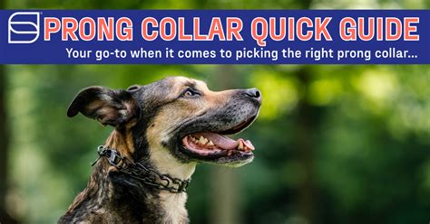 Sprenger Prong Collar Quick Guide