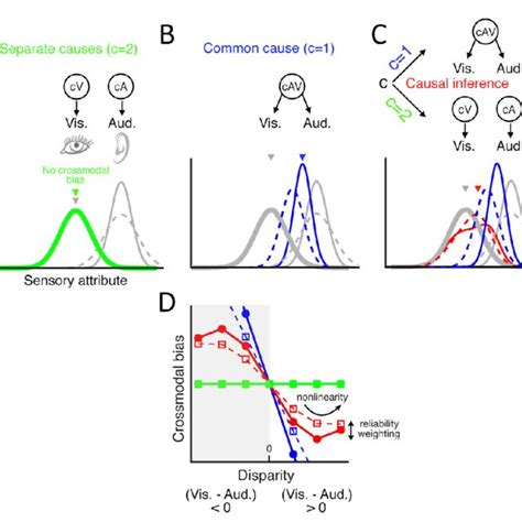 Candidate Models For Multisensory Perception Schematic Of Different