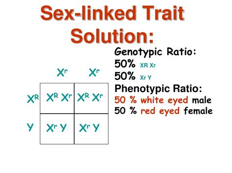 Ppt Non Mendelian Problems Powerpoint Presentation Free Download Id