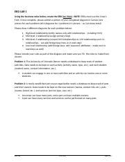 Creating ERD Diagrams For Babe Activities And Pet Rescue Course Hero