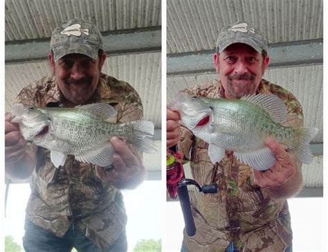 Chasing Dots They Say