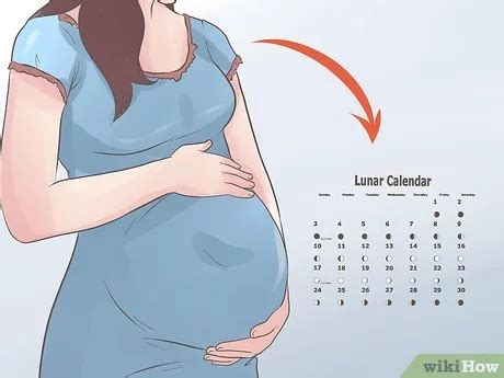Calculate Lunar Month Of Conception Captions Editor