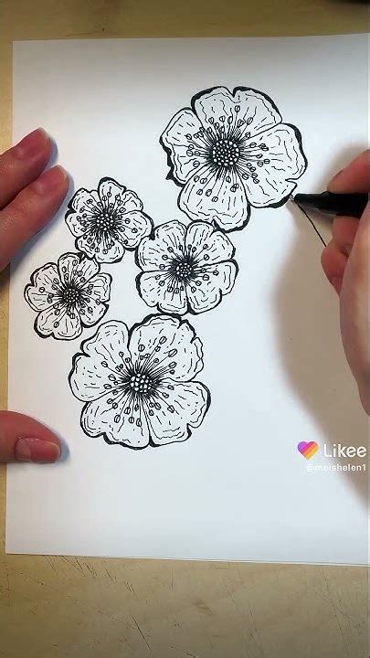 Цэцэг зурах гоё араг шүү Youtube