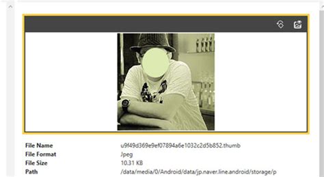 artifacts retrieved from line using xry download scientific diagram