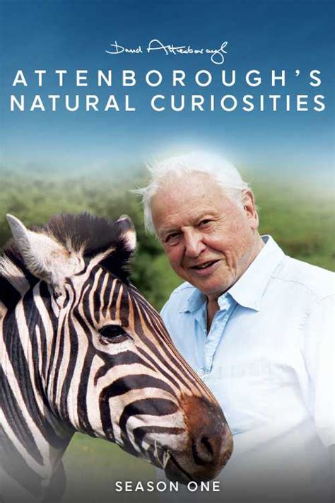 David Attenboroughs Natural Curiosities 2013 Season 1 Fwlolx