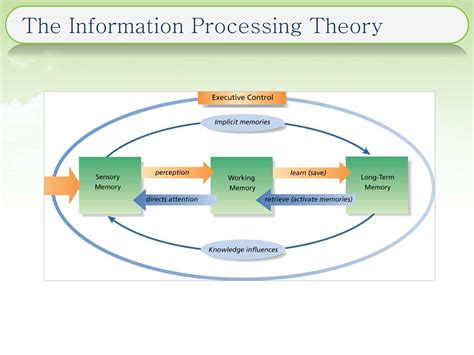 Information Processing Theory Cityryte