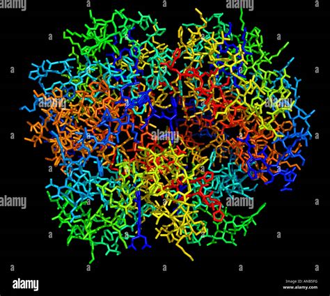 Structure Of Hemoglobin