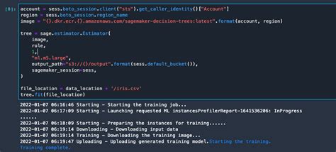 Bring Your Own Containerbyoc With Machine Learning Algorithm Into Aws Cevo