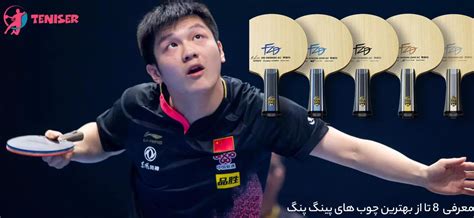 معرفی 8 مدل از بهترین چوب های پینگ پنگ در سال 2024 تنیسر