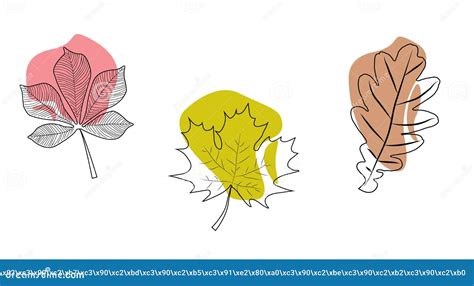 contour illustrations of tree leaves stock vector illustration of