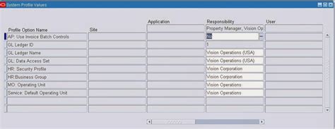 oracle concepts for you oracle property manager set up