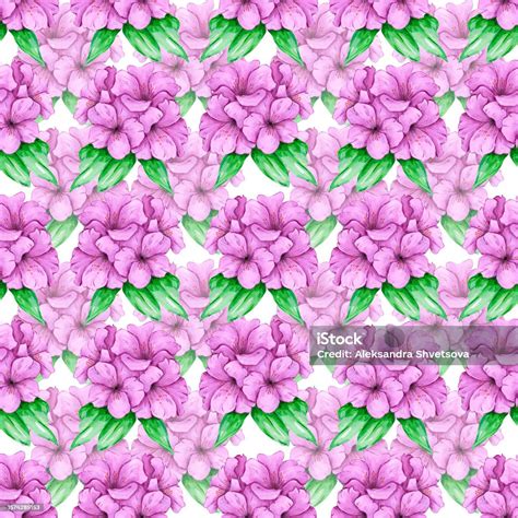 손으로 그린 수채화 보라색 진달래 매끄러운 패턴은 흰색 배경에 분리되어 있습니다 섬유 포장지 벽지 및 기타 인쇄물에 사용할 수