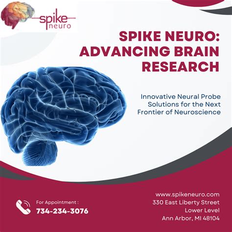 Unveiling The Future Of Neuroscience The Laminar Array By Spike Neuro