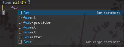 After I Updated Today The Code Prompt Of Golang Is Abnormal · Issue 173290 · Microsoftvscode