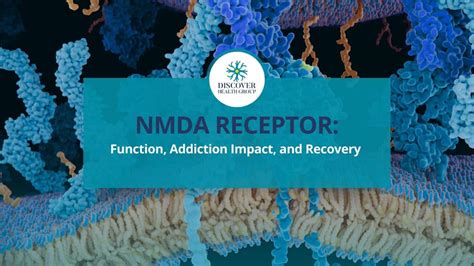 Nmda Receptor Function Addiction Impact And Recovery