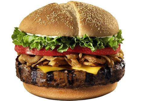 Image Hamburger Fly Like A Bird 3 Wiki