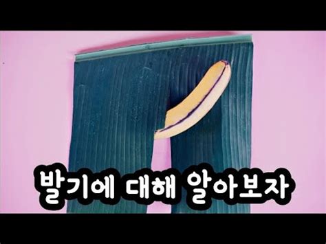 발기에 대해 당신이 모르진 않았던 사실 YouTube