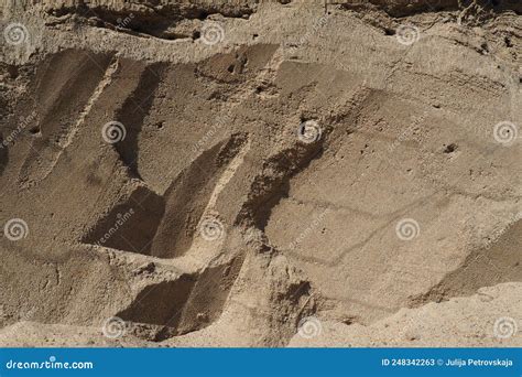 Sandstone Is A Fragmentary Sedimentary Rock A Homogeneous Or Layered