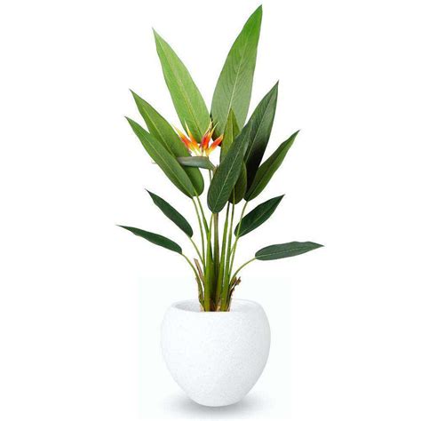 Merida Round Cement Planter Multiple Sizes
