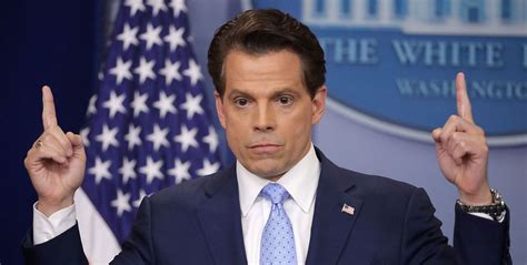 Scaramucci Im Not Steve Bannon Im Not Trying To Suck My Own Cock