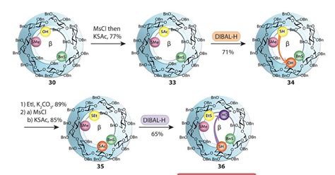 Programmed Cyclodextrin Synthesis Picks Out Specific Molecule From