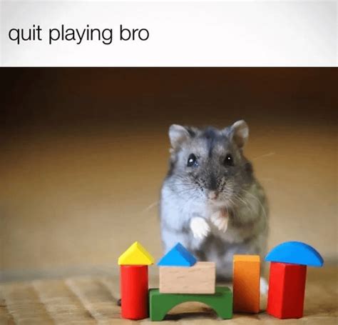 This Cannot Continue Rcatevido