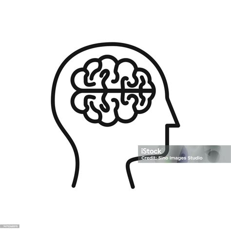 뇌 발달의 편집 가능한 아이콘 흰색 배경에 격리된 벡터 그림 프레젠테이션 웹 사이트 또는 모바일 앱에 사용 개념에 대한 스톡