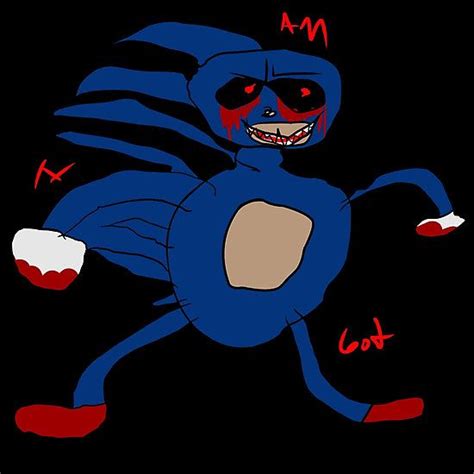 Best Sanic Images On Pinterest Hedgehog Hedgehogs And Pygmy Hedgehog