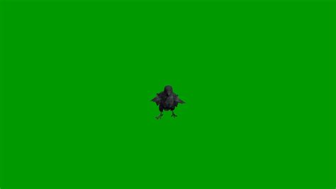 Py Fbx Whole D Model By Jijibi E Be Sketchfab