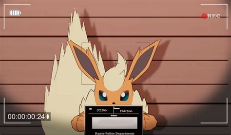 What Did He Do Wrong Answers Only R Eevee