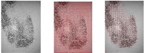 a original low quality fingerprint image b its gradient image c