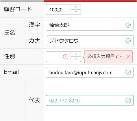 Javascript入力ライブラリ Inputmanjs（インプットマンjs） Developer Solutions〈開発支援ツール〉 メシウス株式会社