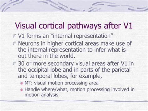 Ppt Gabor Filter A Model Of Visual Processing In Primary Visual